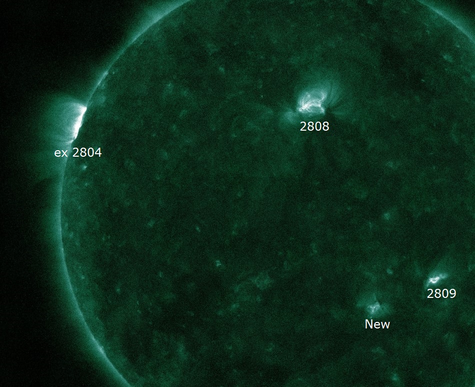 Contact Us | The Daily DX