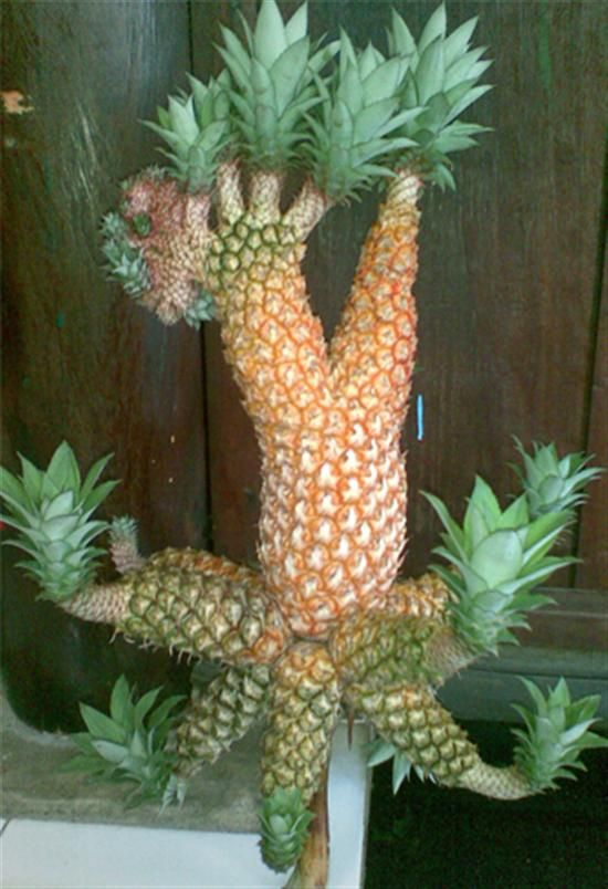 [OC] Alien Pineapple : r/pics