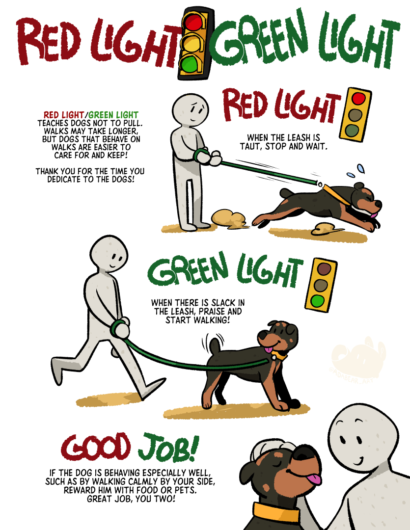 Can A Dog See Red Light