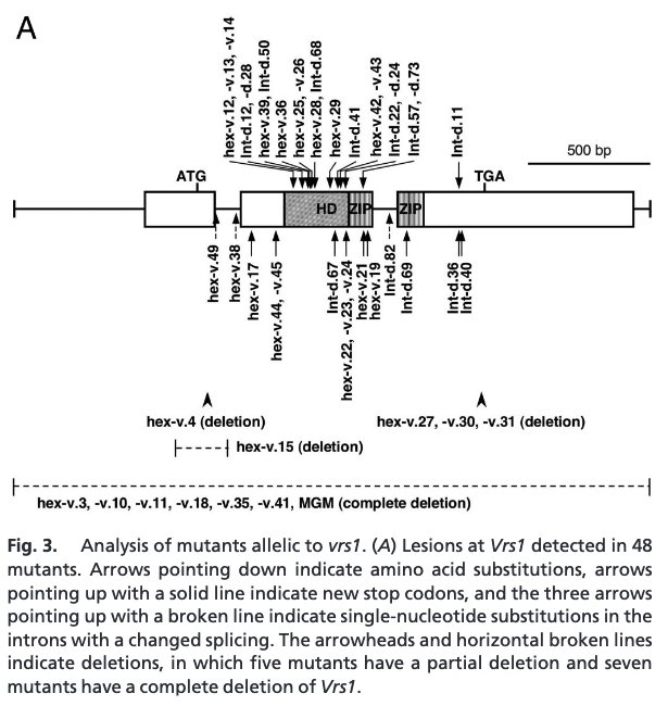 Thread by @QADPlantes on Thread Reader App – Thread Reader App