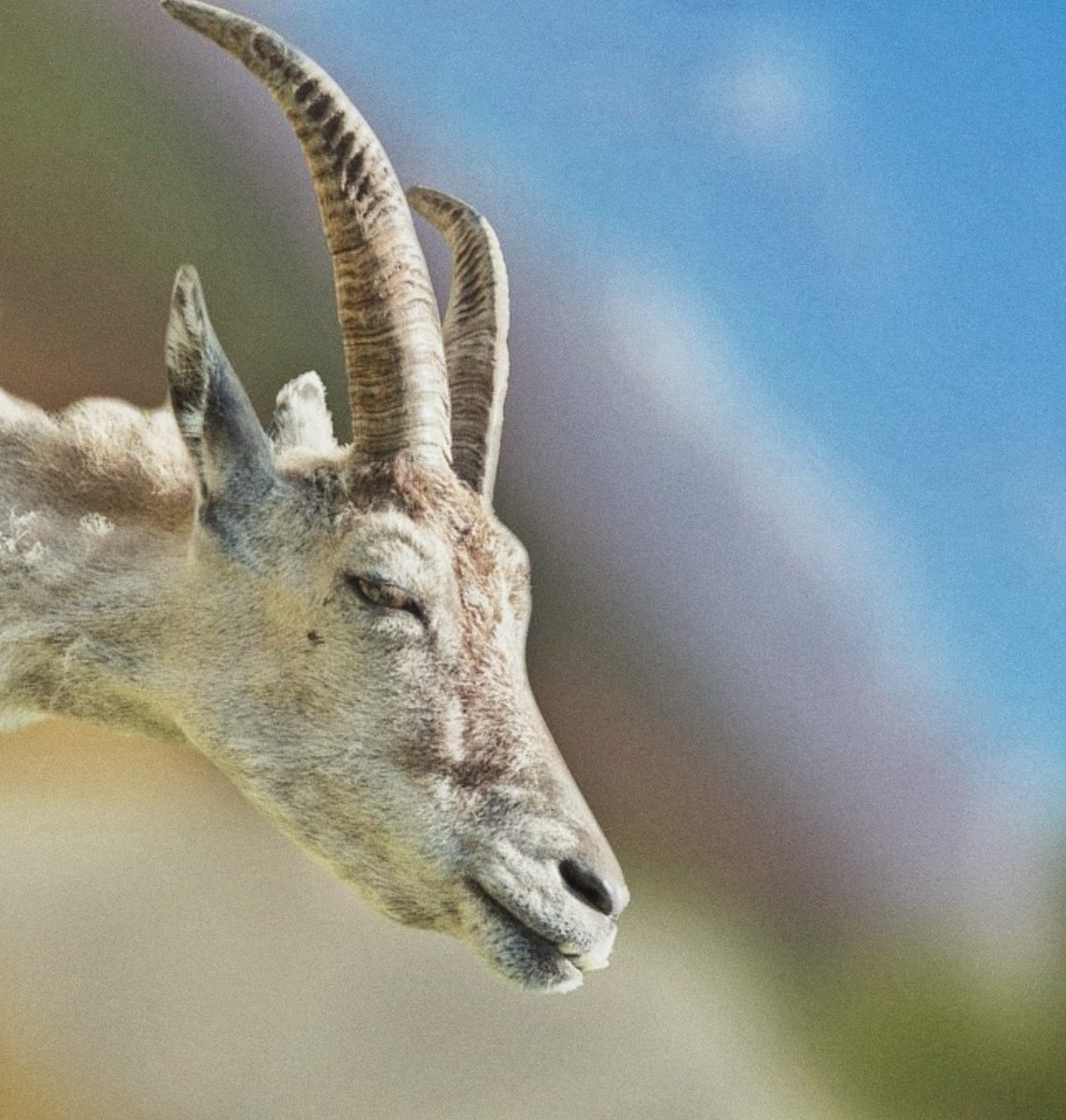 Erickzin 🎭 (@_Erick_mello) | Twitter