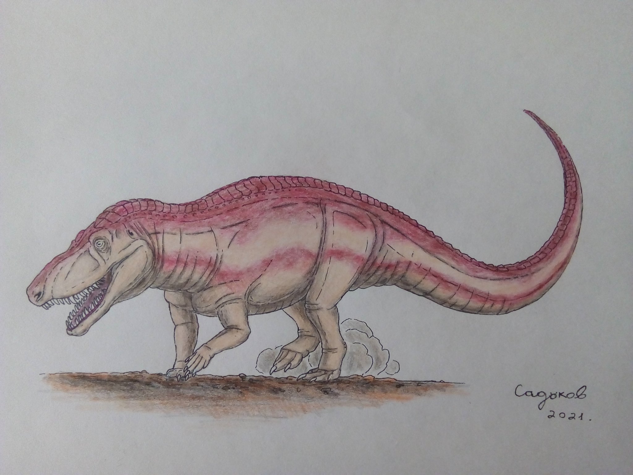 Saurosuchus