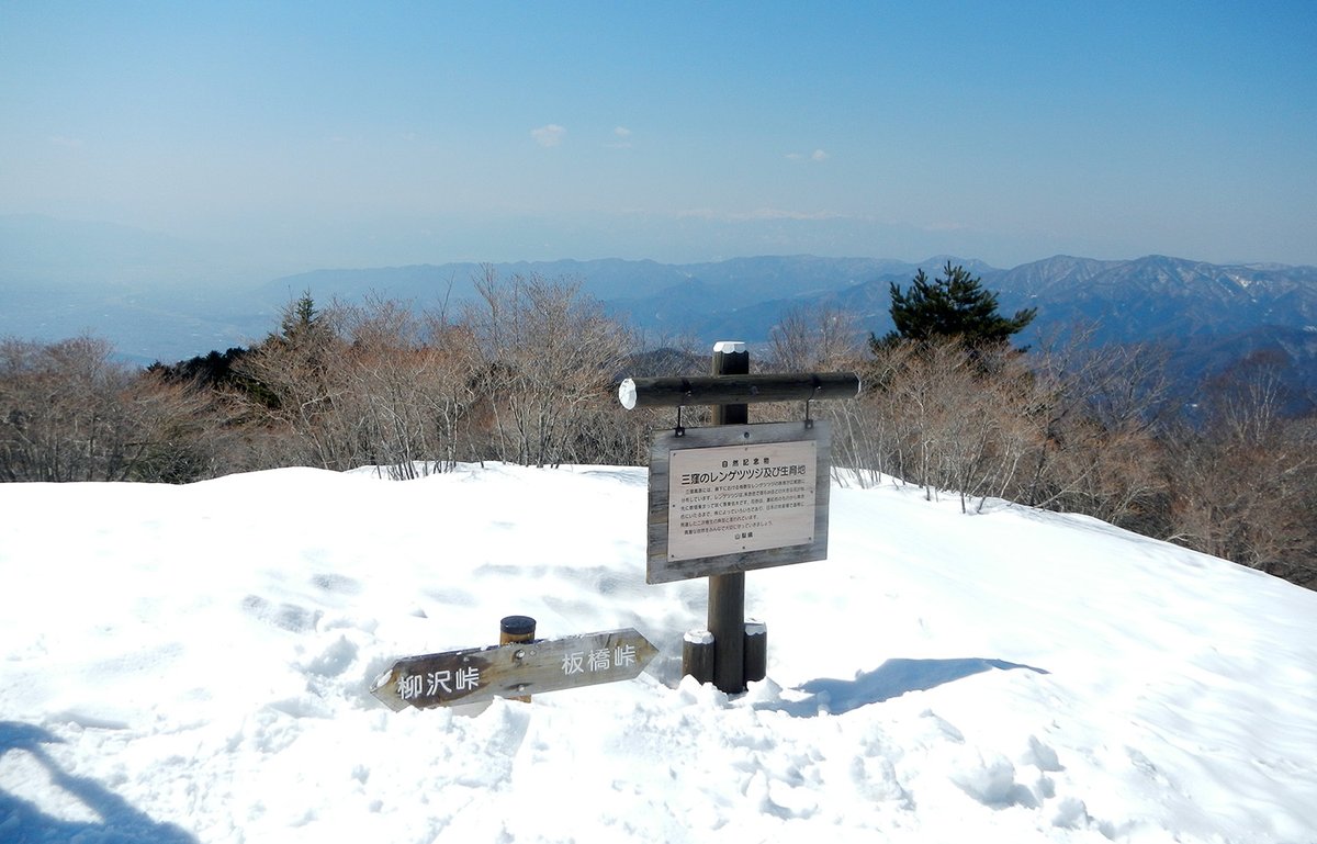 「奥多摩国際スキー場柳沢ゲレンデ発生から7年経ってしまったのか。あの国道411号の」|まるよ@C101(土)東モ26bのイラスト