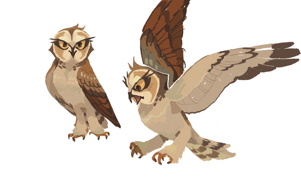 Guardians Of Ga Hoole Otulissa