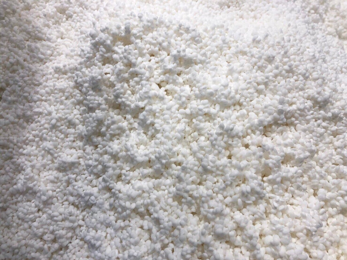 SakeBase広報部 on Twitter: "昨日、栃木県さくら市のせんきんを訪問。蔵元の薄井一樹さんに仙禽についての「古くて新しいものづくり。」の方針や取り組みをお伺いし、杜氏の薄井真人 ...