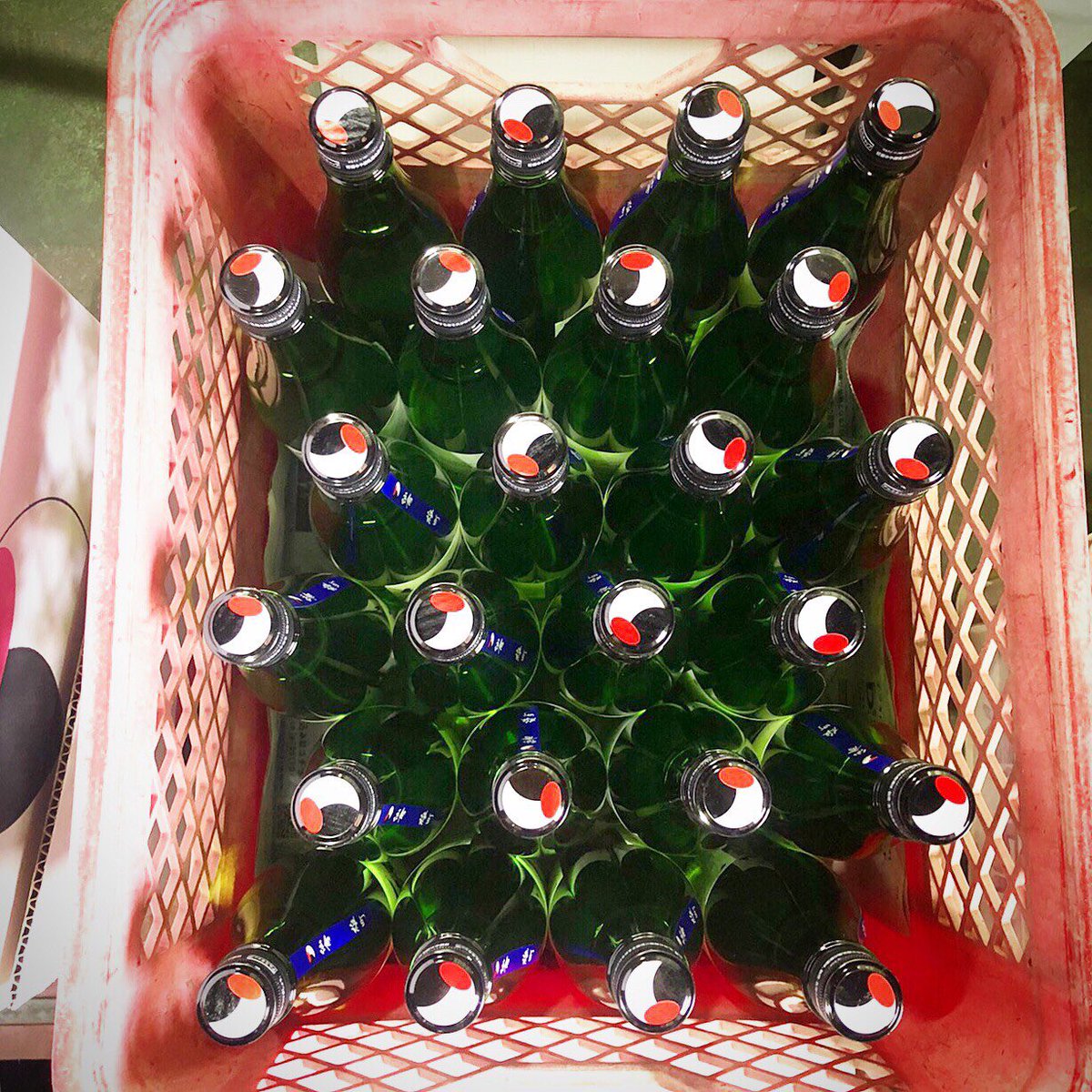 SakeBase広報部 on Twitter: "昨日、栃木県さくら市のせんきんを訪問。蔵元の薄井一樹さんに仙禽についての「古くて新しいものづくり。」の方針や取り組みをお伺いし、杜氏の薄井真人 ...