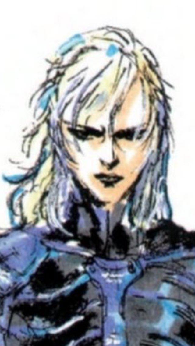 Raiden Mgs2 Art
