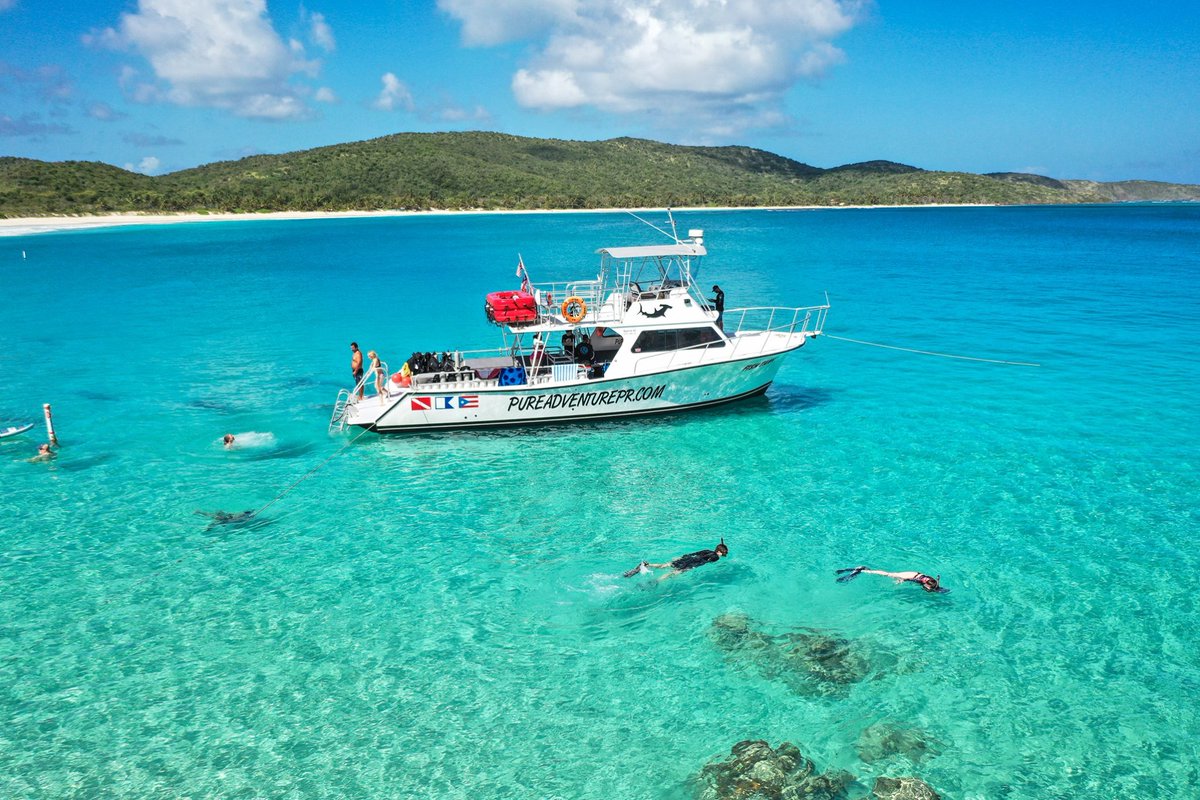 consumirse Ir al circuito Compasión puerto rico activities calor Arco ...