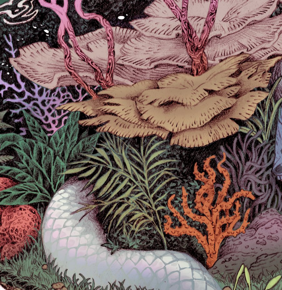 Biome" ?? Graphite and pencil 」|Nina G.のイラスト