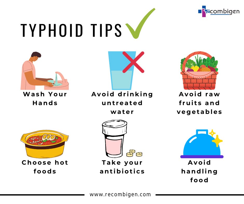 Typhoid Prevention