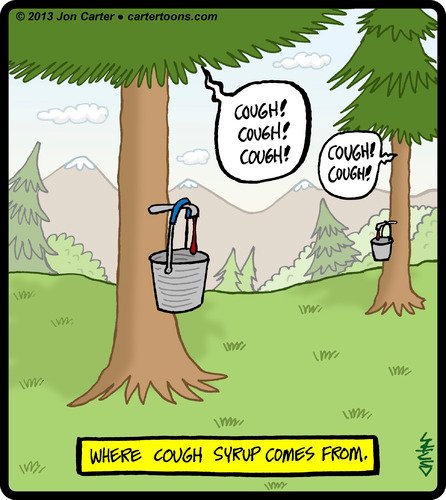 Funny Tree Jokes