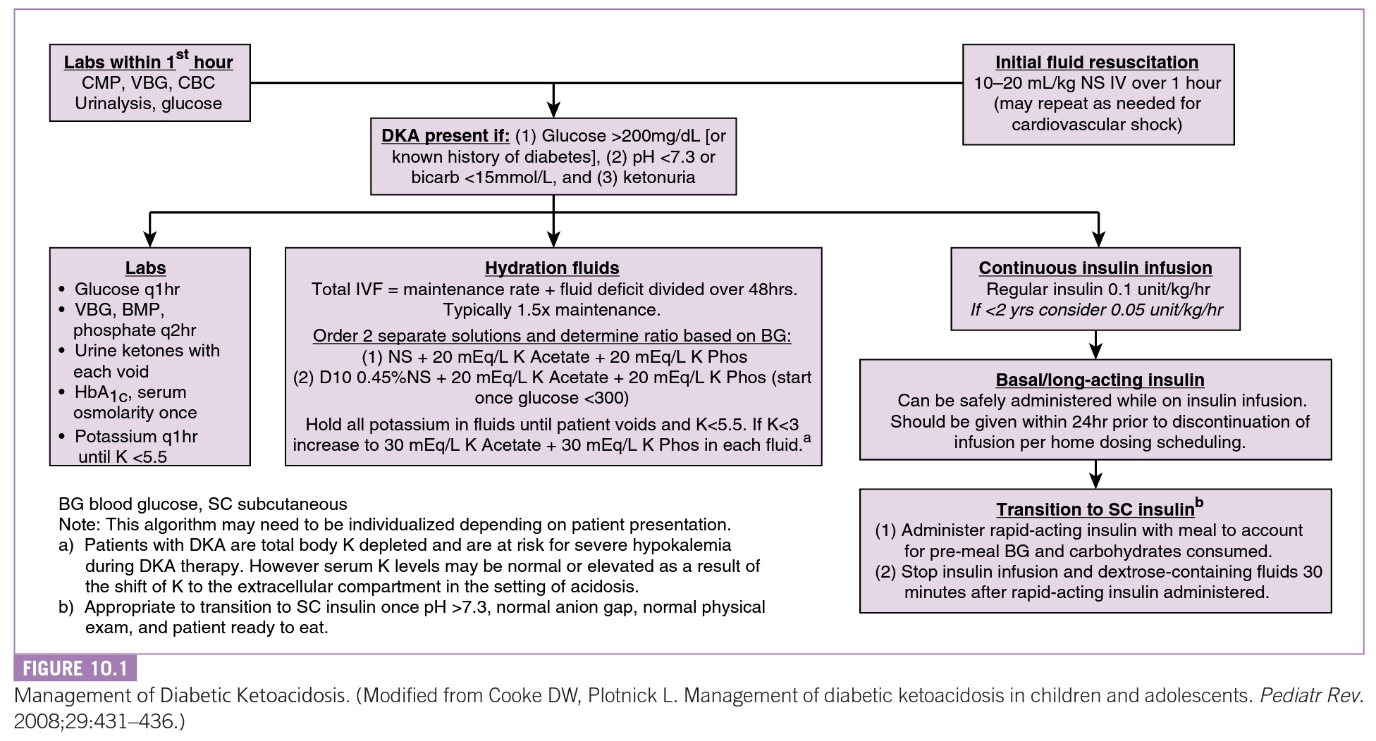 Urinalysis In Dka
