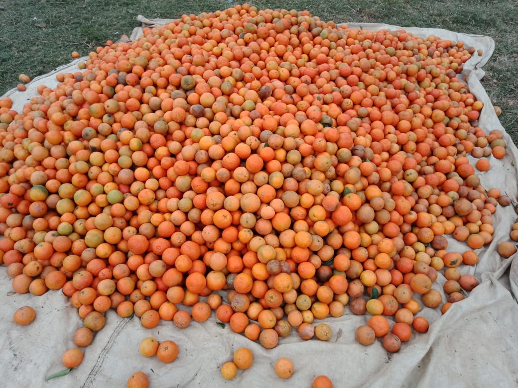 Ann mbithe (@Annmbithe8) | Twitter