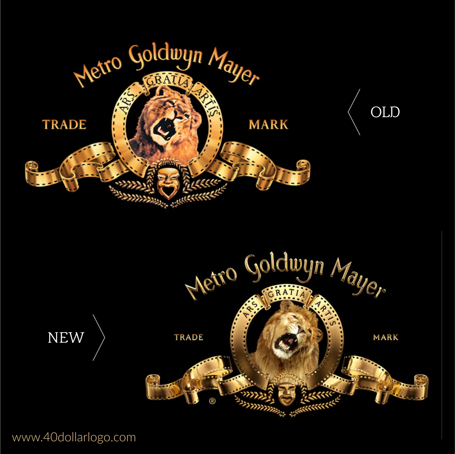 Metro Goldwyn Mayer Lion Logo The MGM Lion: A Video History Of The
