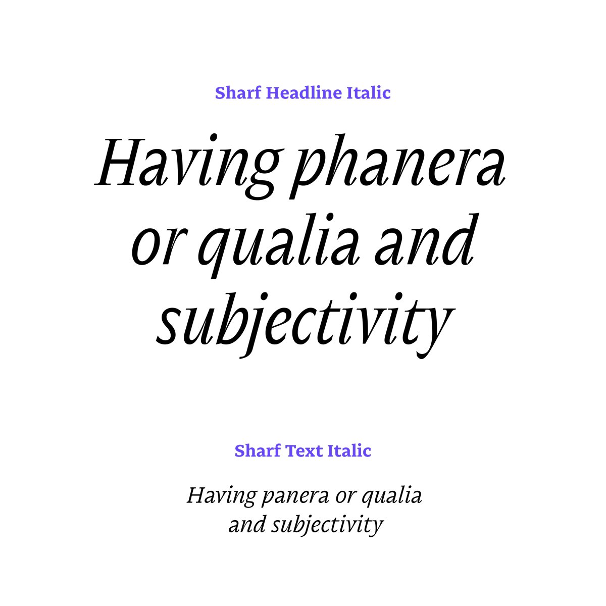 Blast Foundry on Twitter: "Rising from the spring storm, Sharf’s italics arrived to serve ...