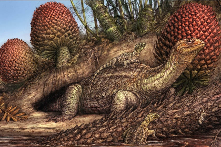 Os Chelonia (tartarugas, cágados e jabutis) são um dos animais mais ...