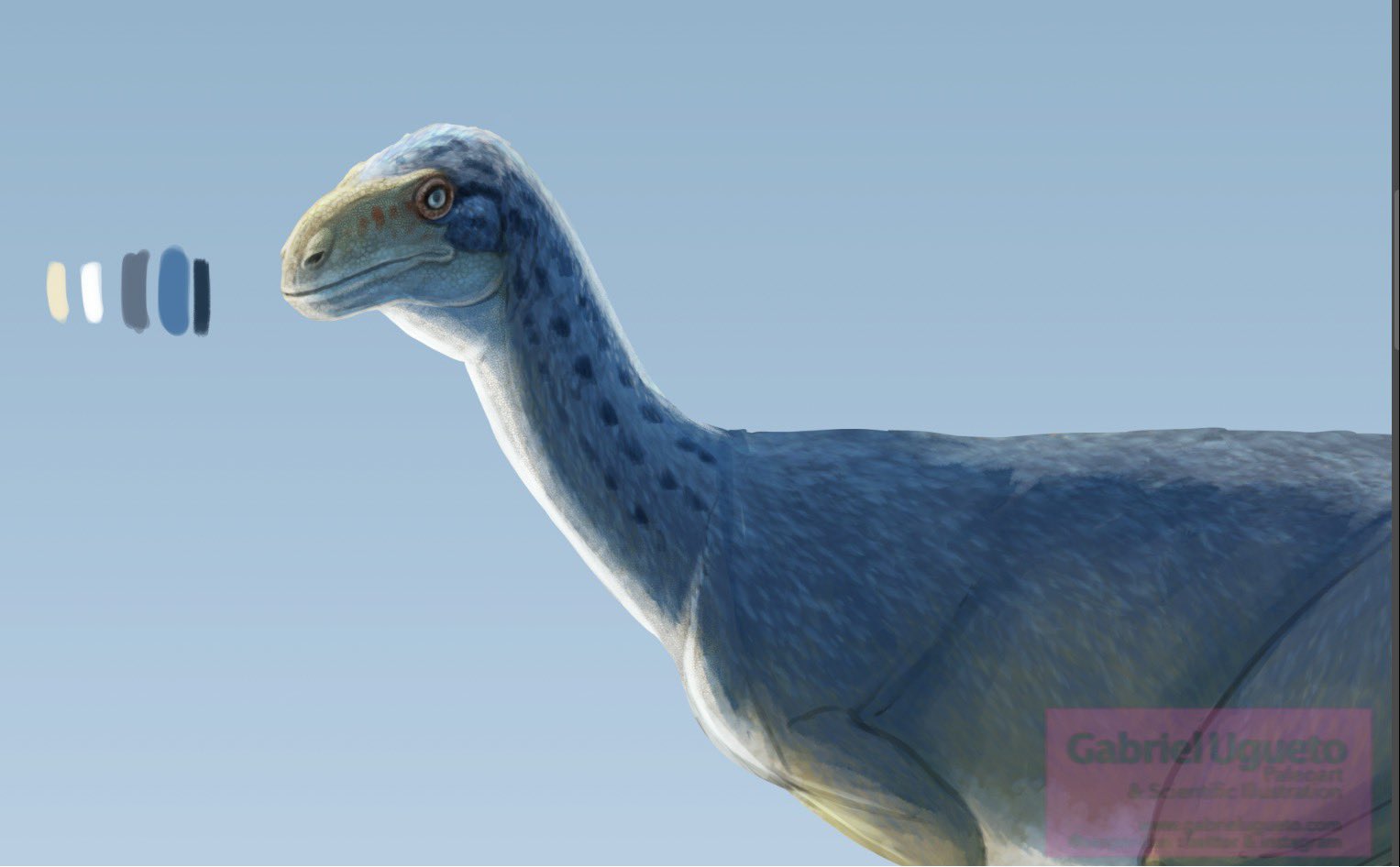 Thecodontosaurus