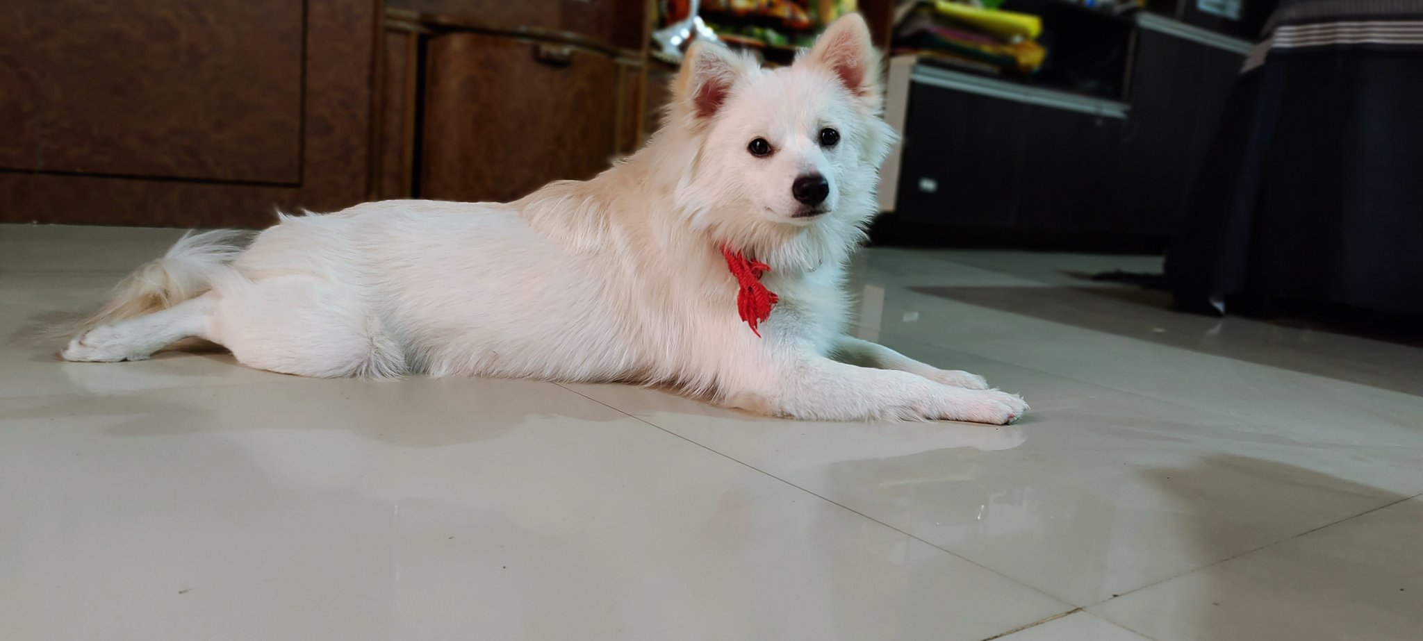 Umang Garg (@Ga15531369Umang) / Twitter