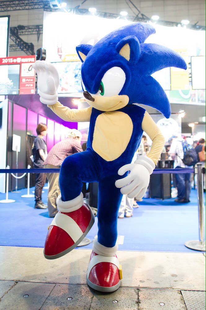 Sonic The Hedgehog Mascot Costume
