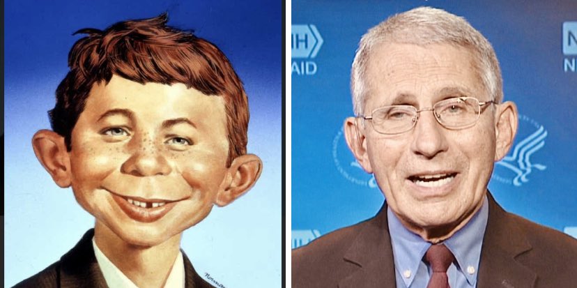 Alfred E Newman Look Alike