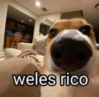 Rico Meme