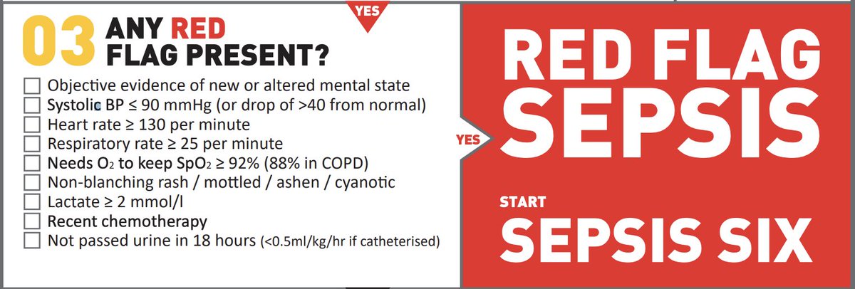 Causes Of Red Flag Sepsis
