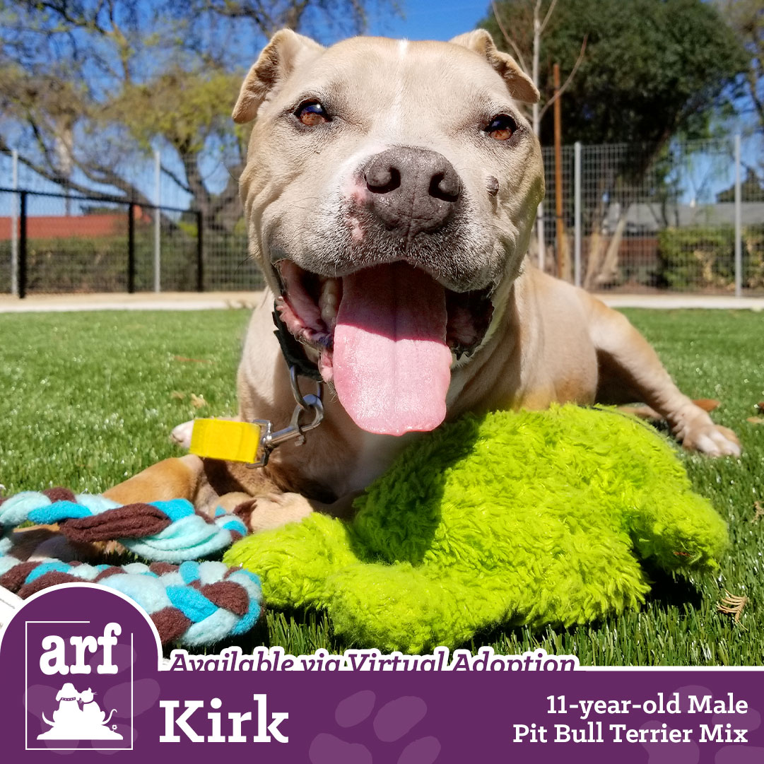 Matt Hayes (@MattHayesCFB) | Twitter