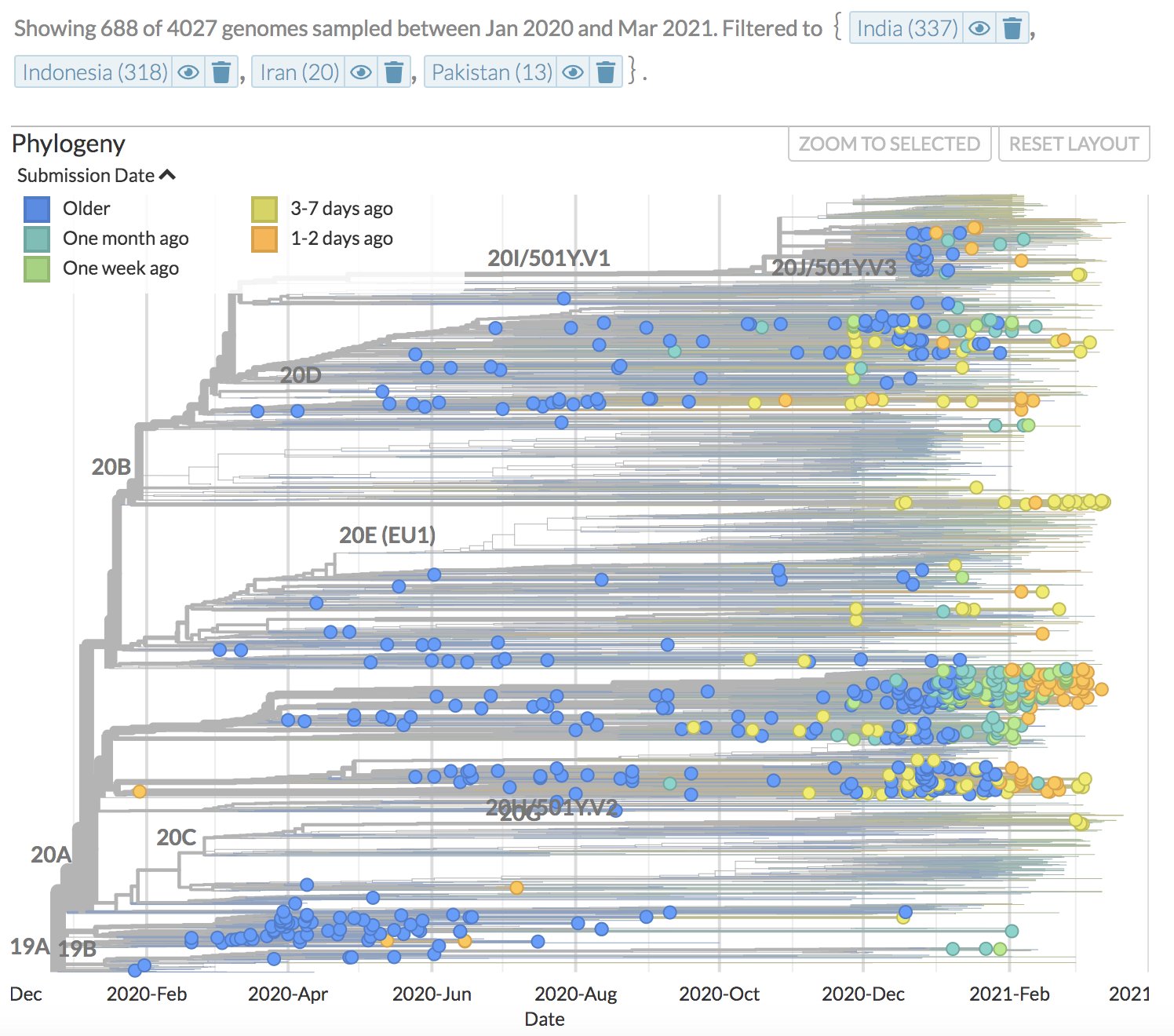 Nextstrain on Twitter: "Check out the new sequences from India (14), Indonesia (32), Iran (3 ...