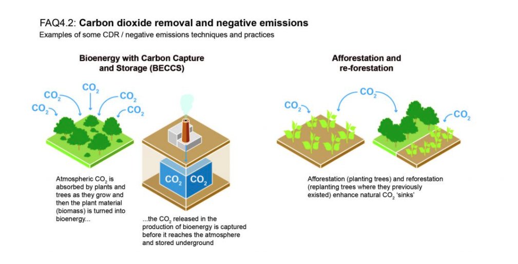 Afforestation Diagram