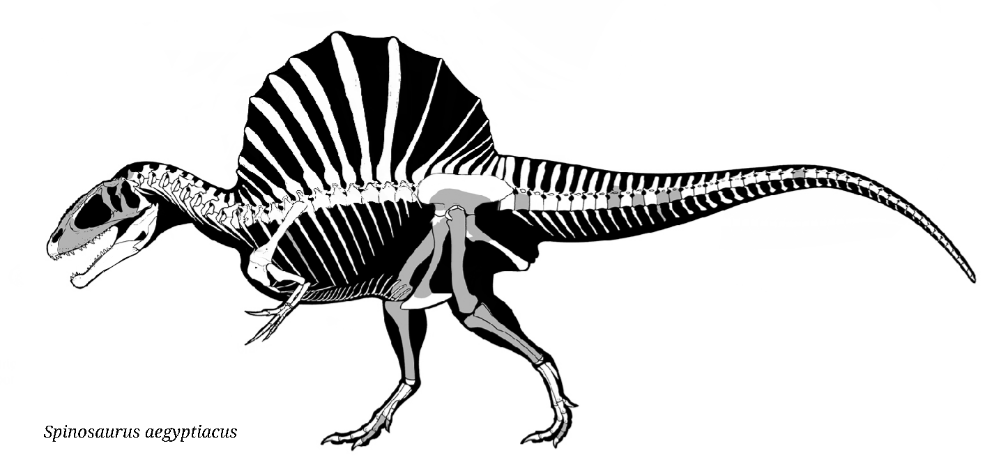 Sigilmassasaurus