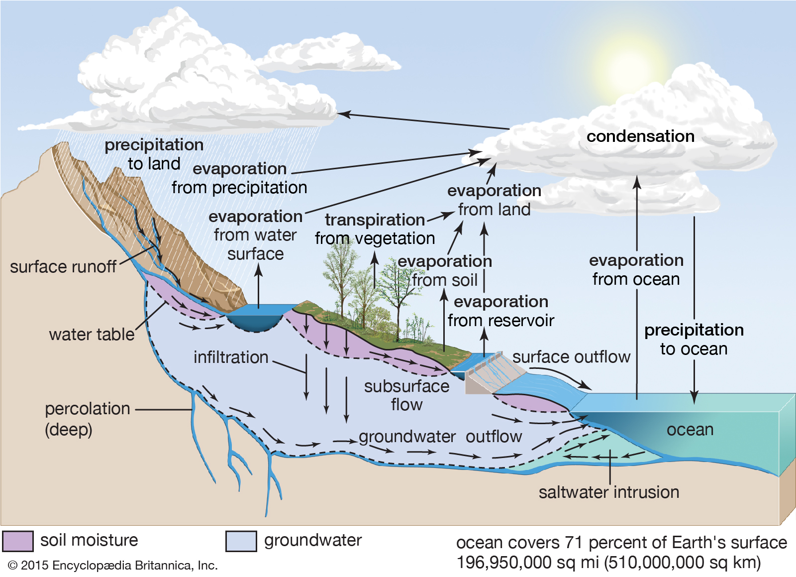 Water Cycle Infiltration