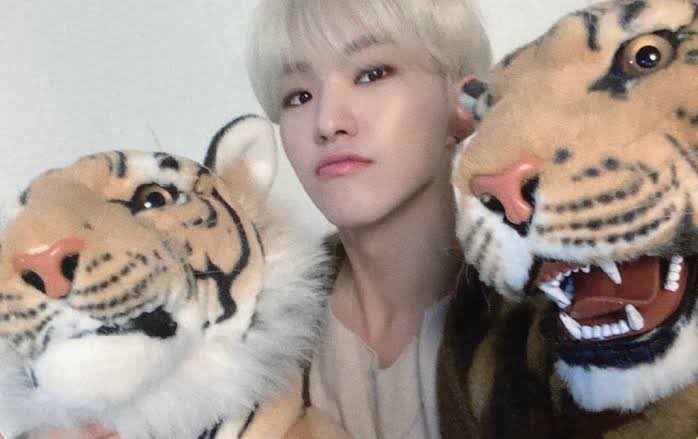 What is your favorite photocard from your collection? : r/kpopcollections