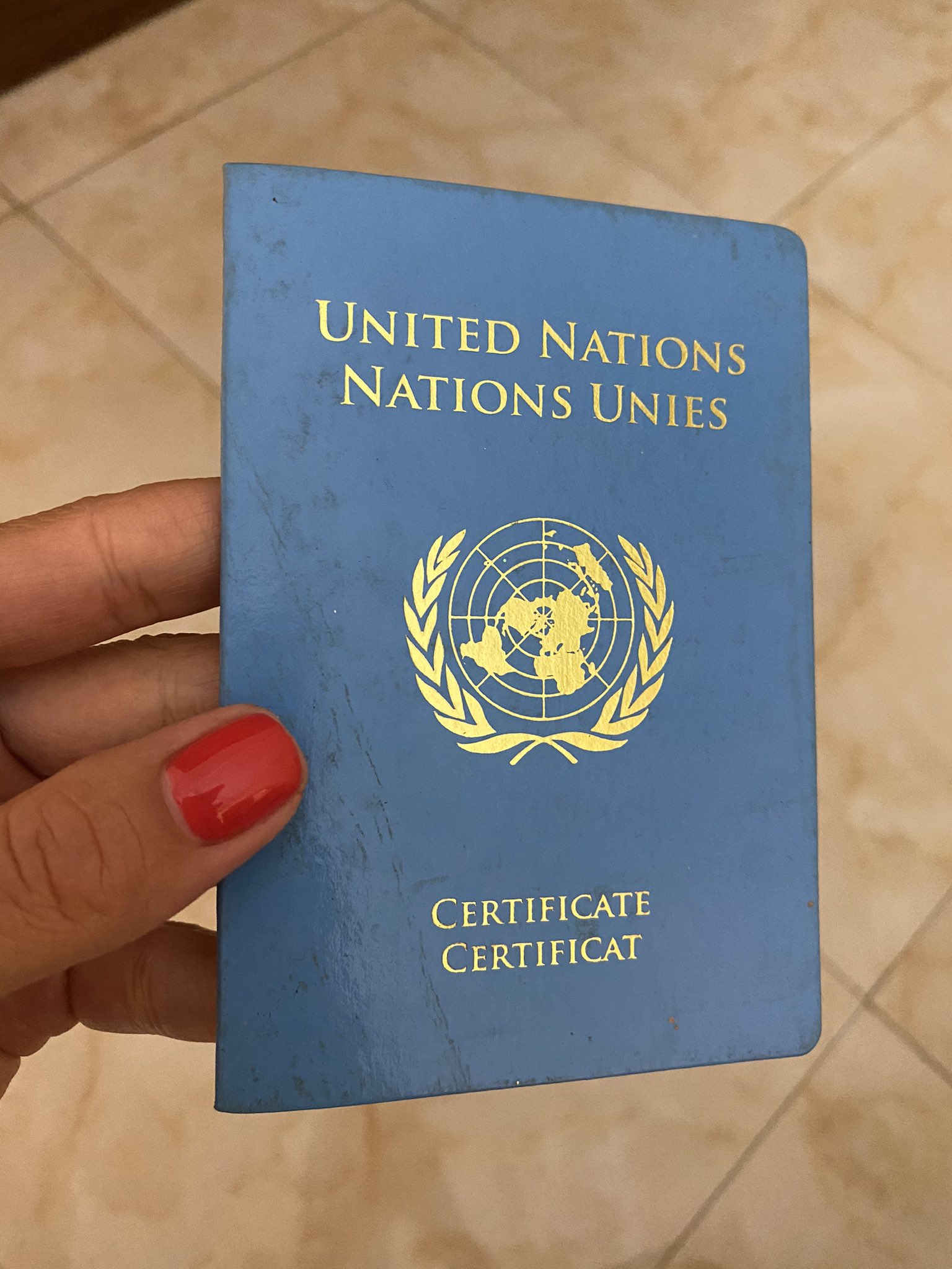 United Nations Laissez Passer