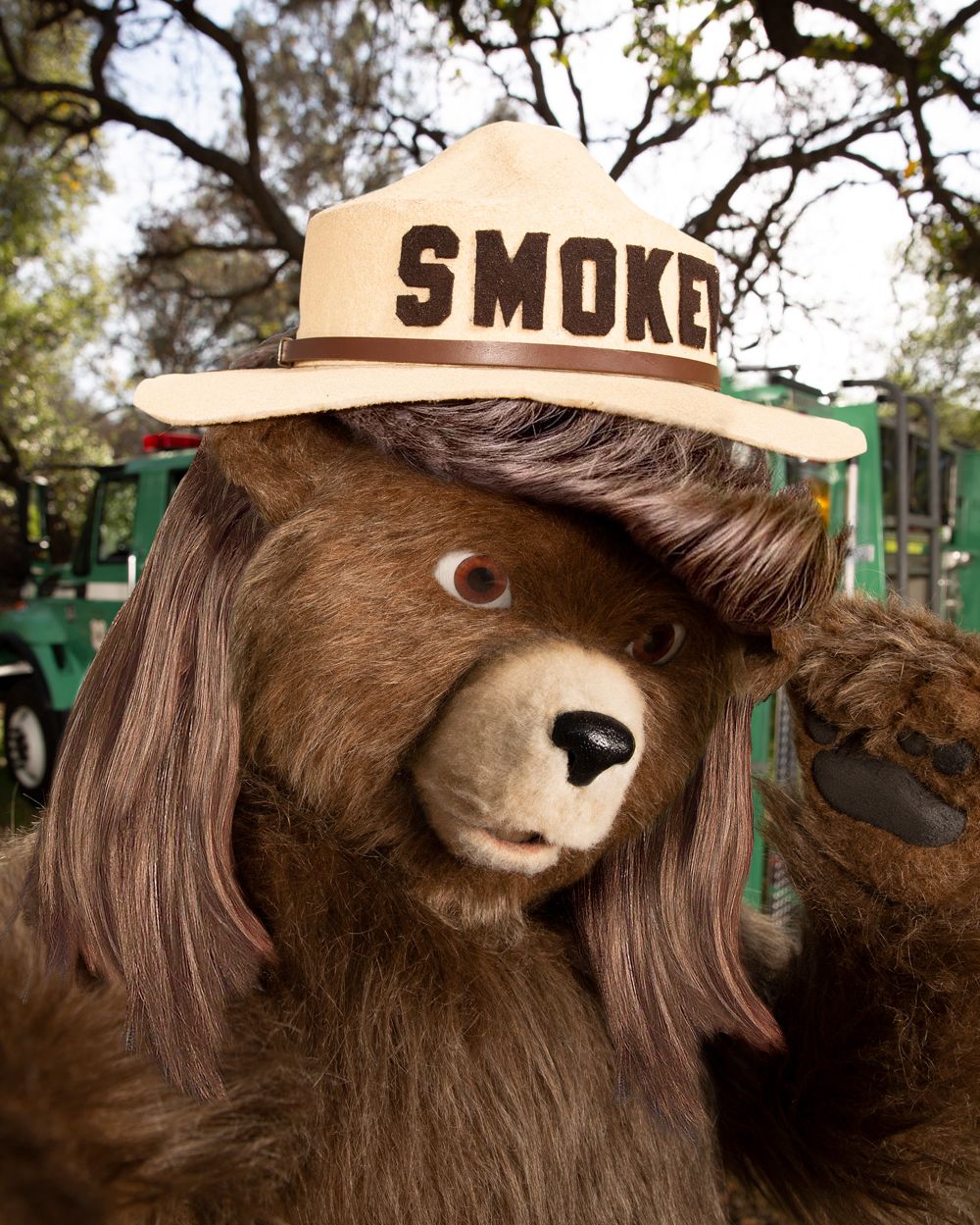 Bear Whatcha Thinking About Meme