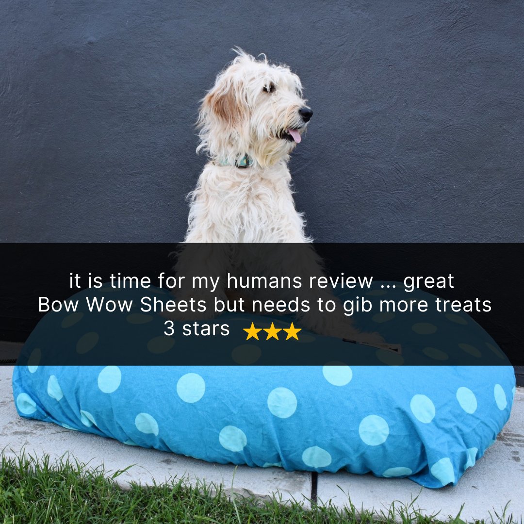 Bow Wow Sheets on Twitter: "Once you buy a BWS for your furry family ...