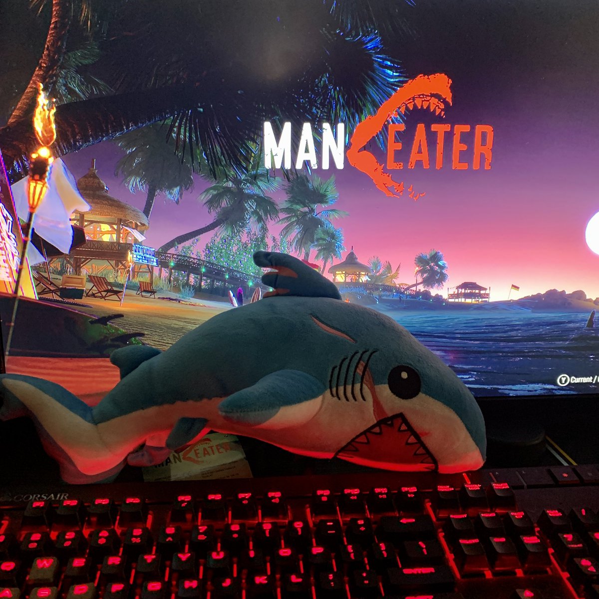 Maneater Memes Maneater GIFs | Tenor