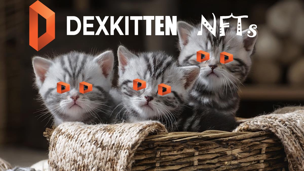 KIT Crew (@dexKITcrew) | Twitter