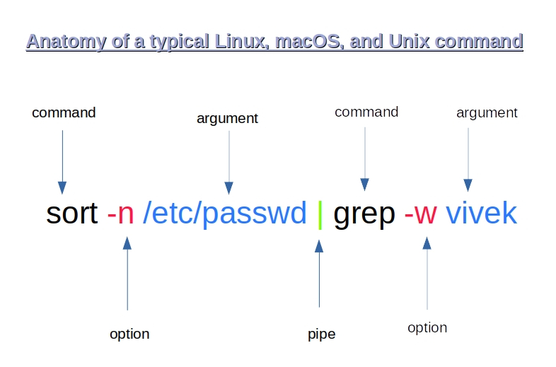 The Best Linux Blog In the Unixverse 🐧 on Twitter: "Anatomy of a typical Linux, macOS, and Unix ...