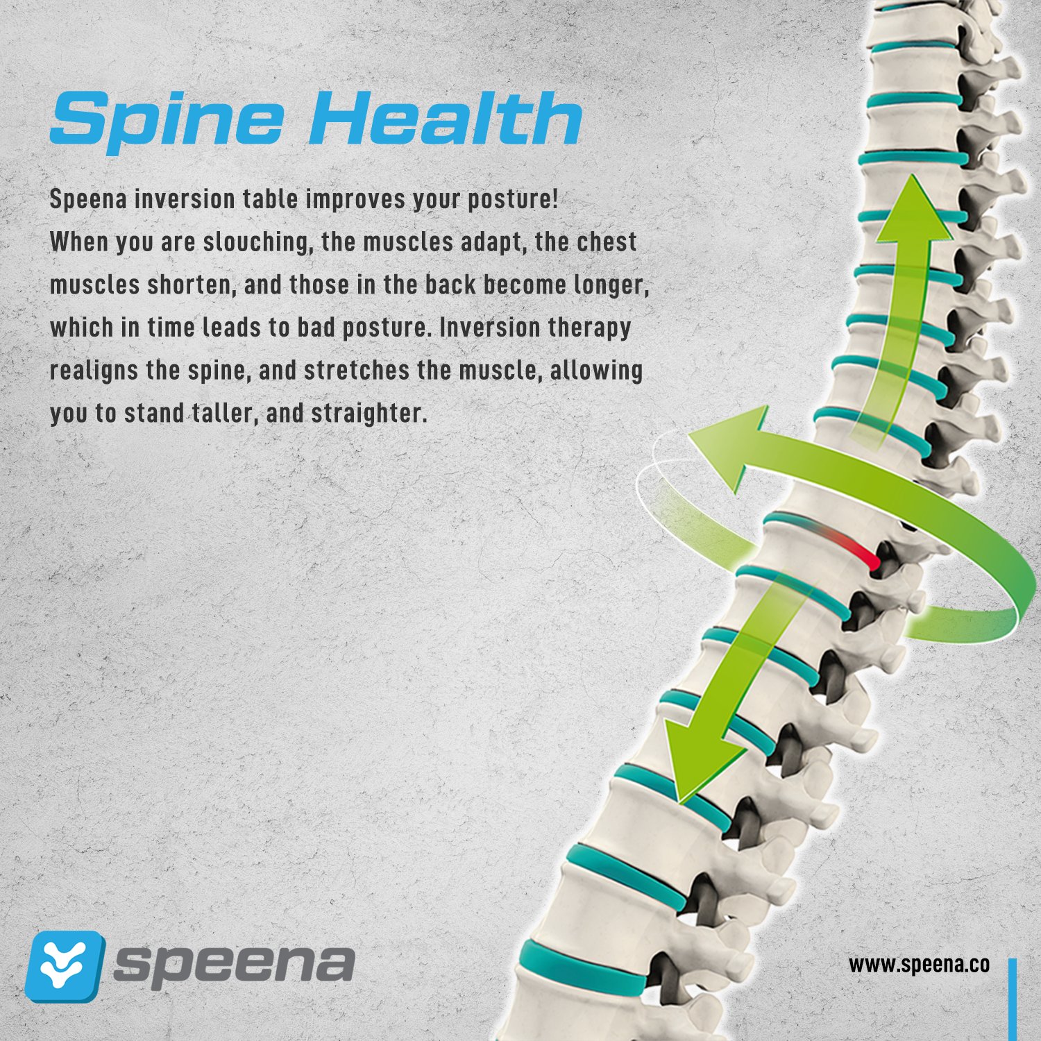 Inversion Table Spine