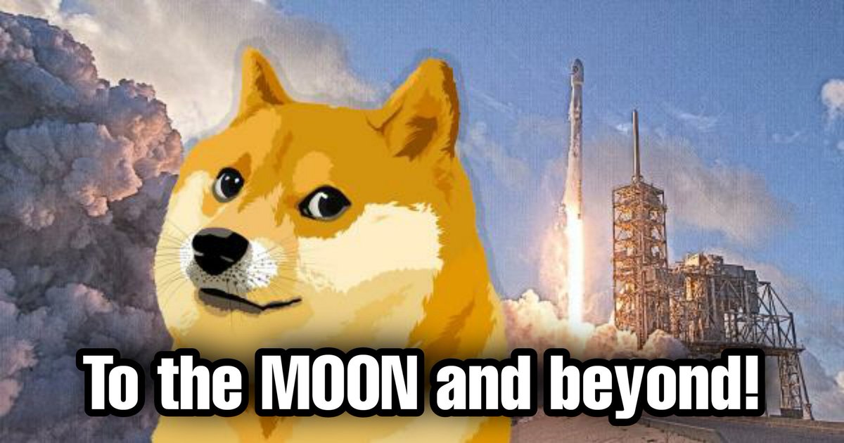 Dog Go to the Moon: The Meme Coin That's Reaching for the Stars ...