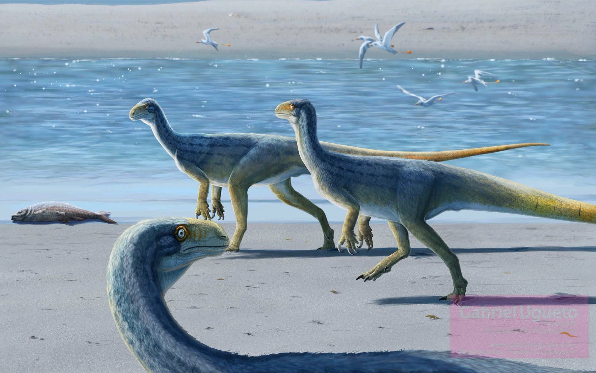 Thecodontosaurus