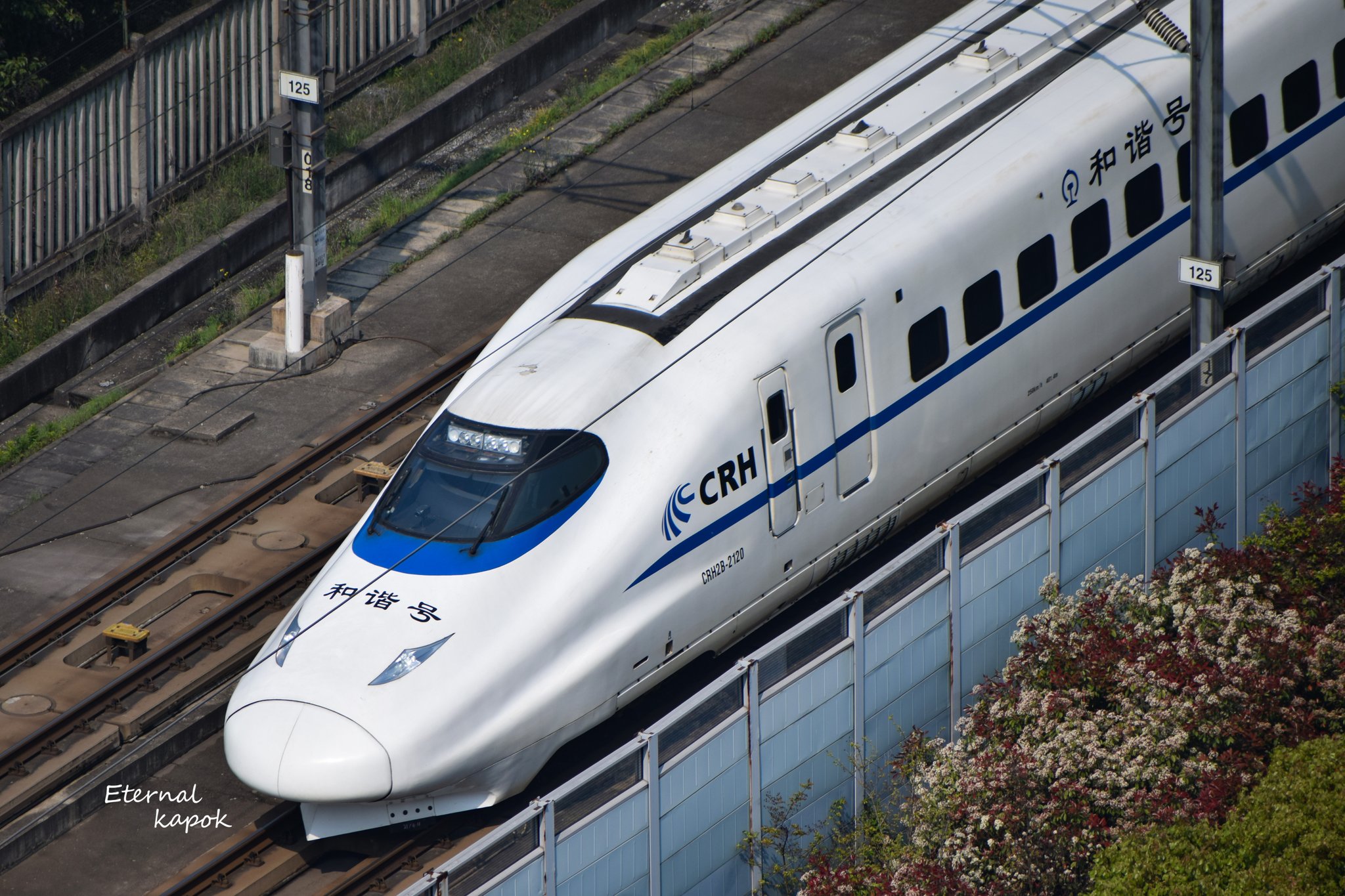 Eternalkapok（全速前进版 on Twitter: "沪宁城际日常 CR400Bf CRH380D CRH380B CRH2B https://t.co/GtyvWrvyjw ...