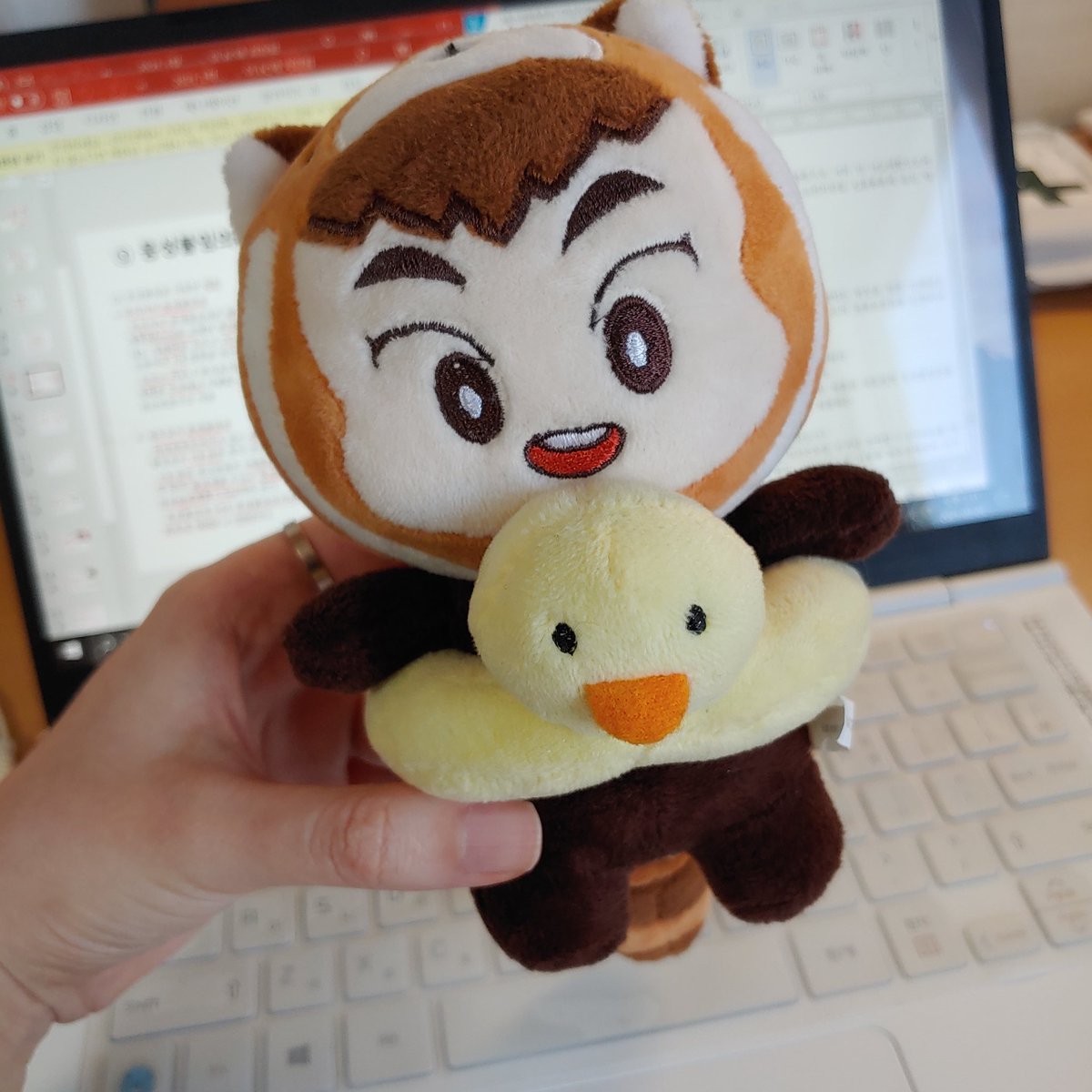 양도 (@KIT_YANGDO) | Twitter