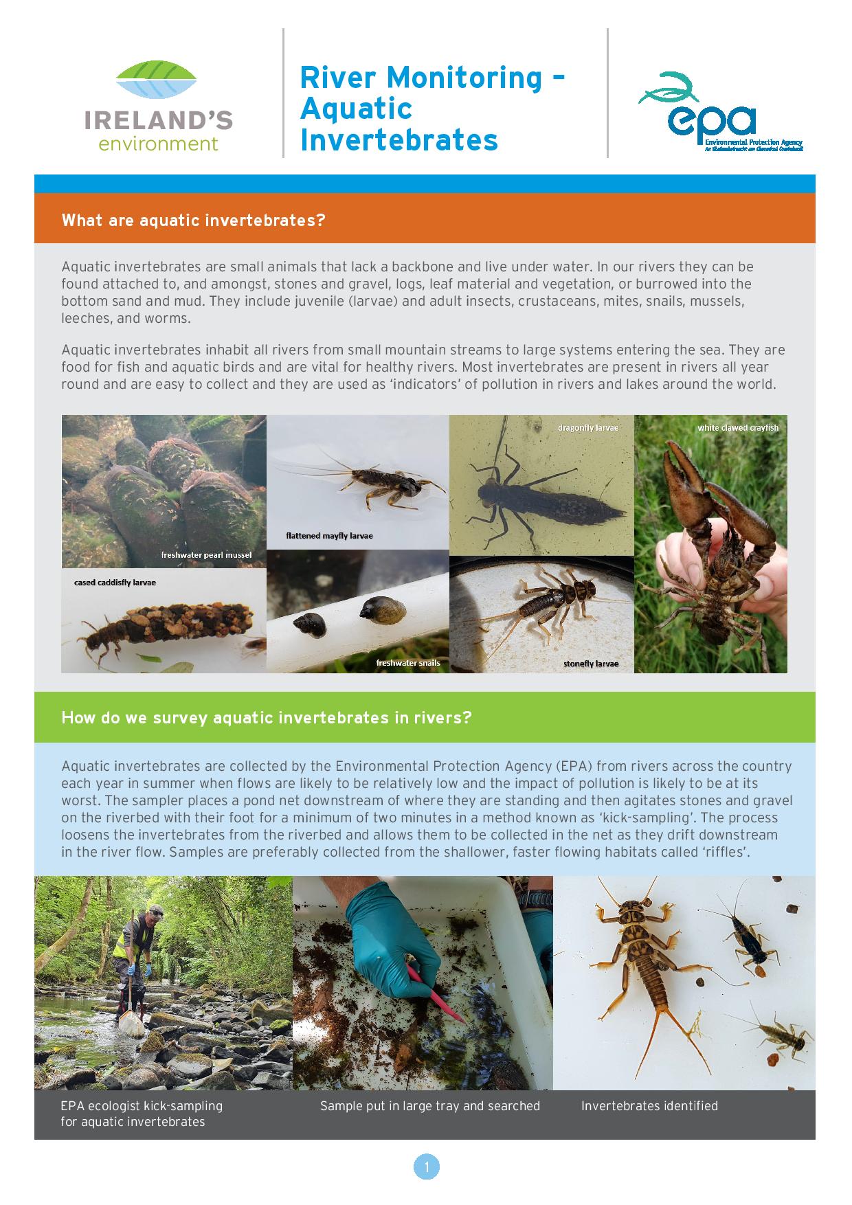 Aquatic Invertebrates