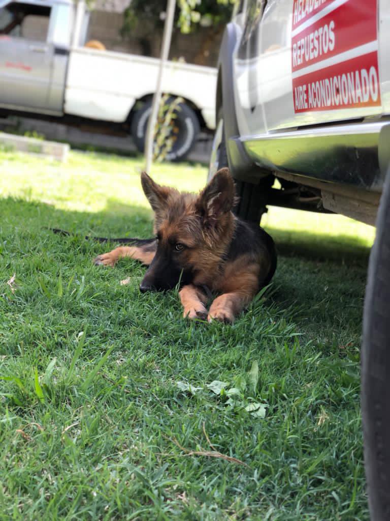 Lisandro (@Liserrano_) | Twitter