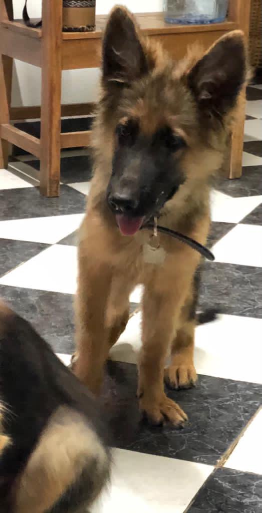 Lisandro (@Liserrano_) | Twitter