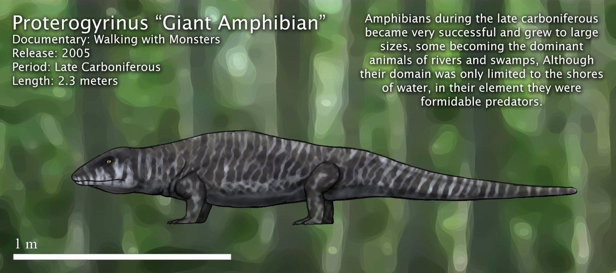 Carboniferous Amphibians