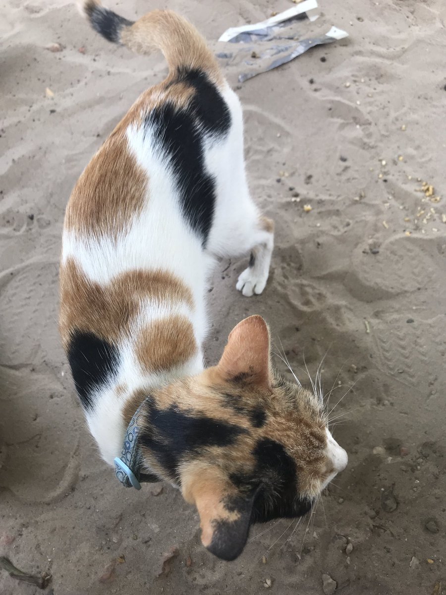 modou (@jallowmodou2) | Twitter