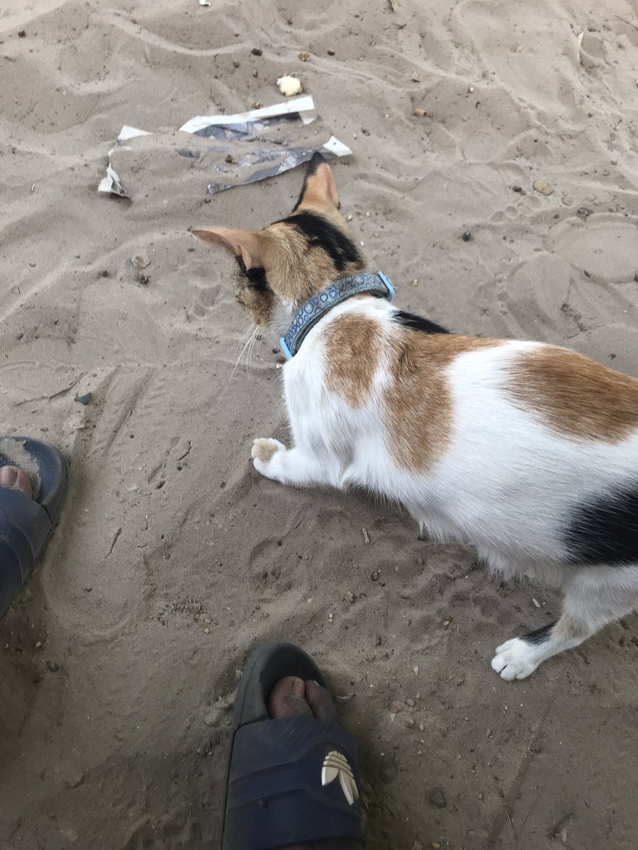 modou (@jallowmodou2) | Twitter