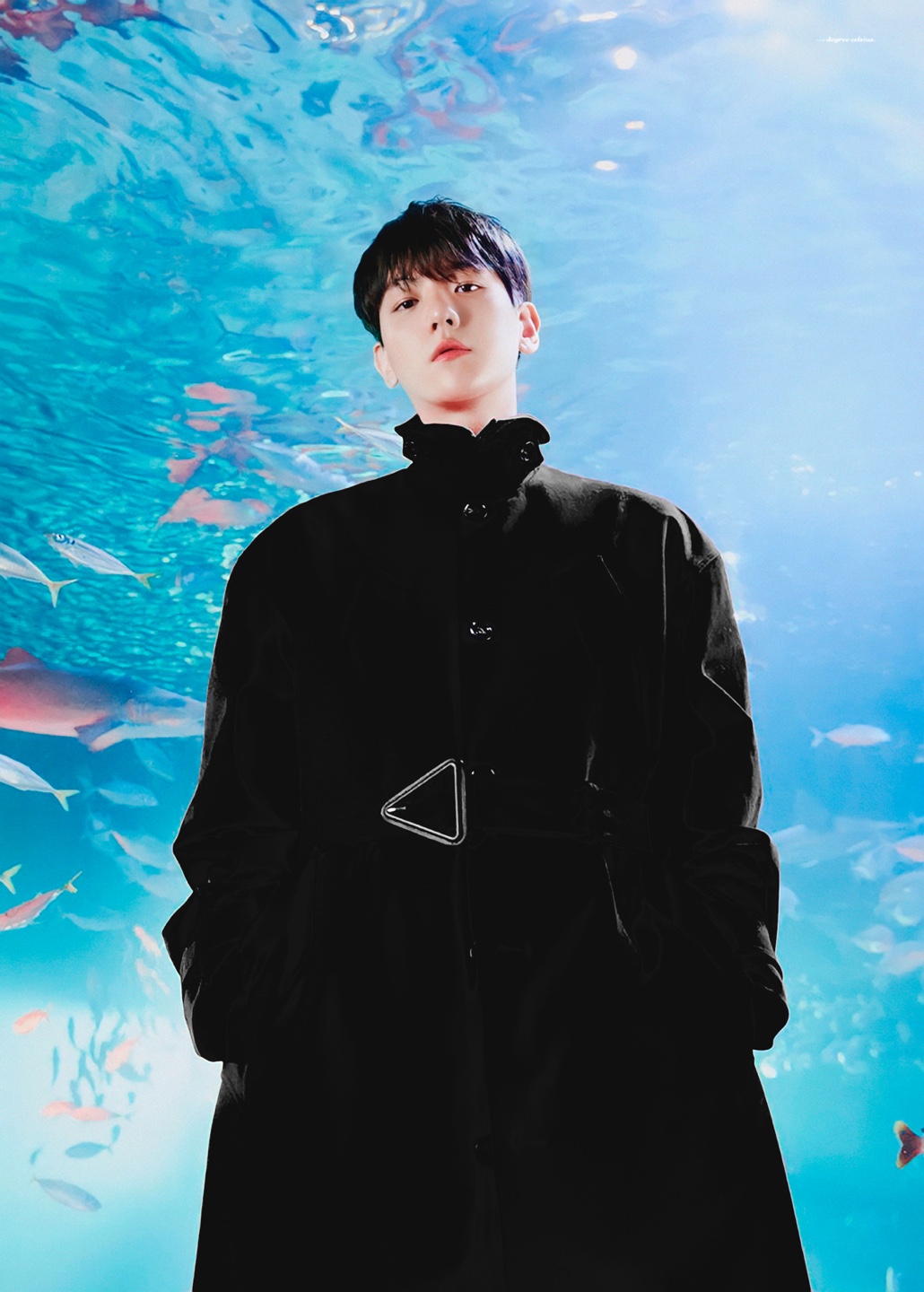 𝕭𝕯 𝕊𝕊𝕌𝕃 / Twitter